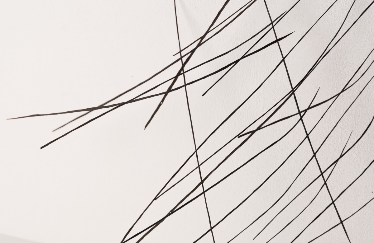 Line Drawings: Alice Dudgeon with Oisín Gallagher - Edinburgh Sculpture ...