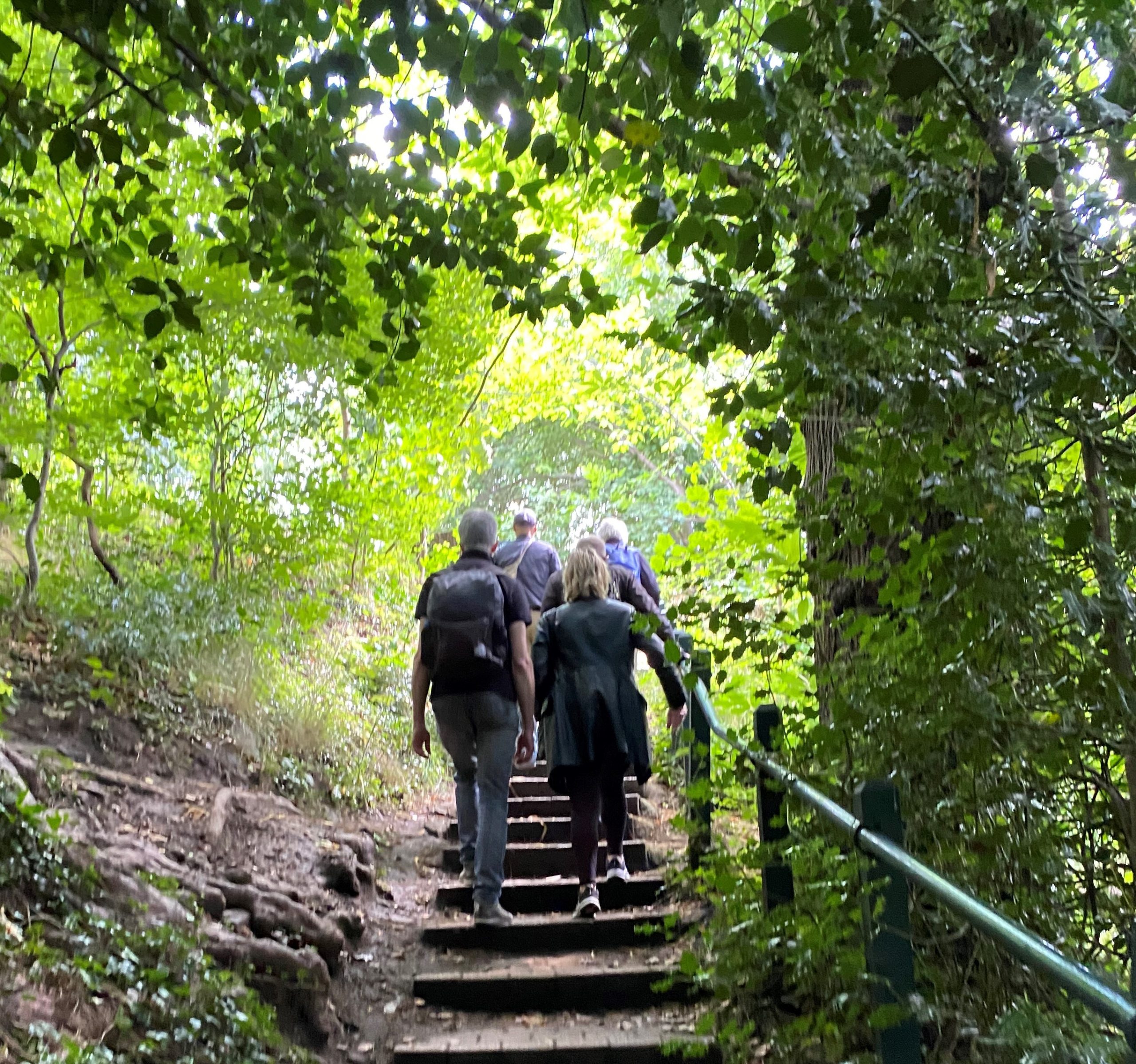 Members Trip with artist in residence Anna Macleod, Water of Leith ...