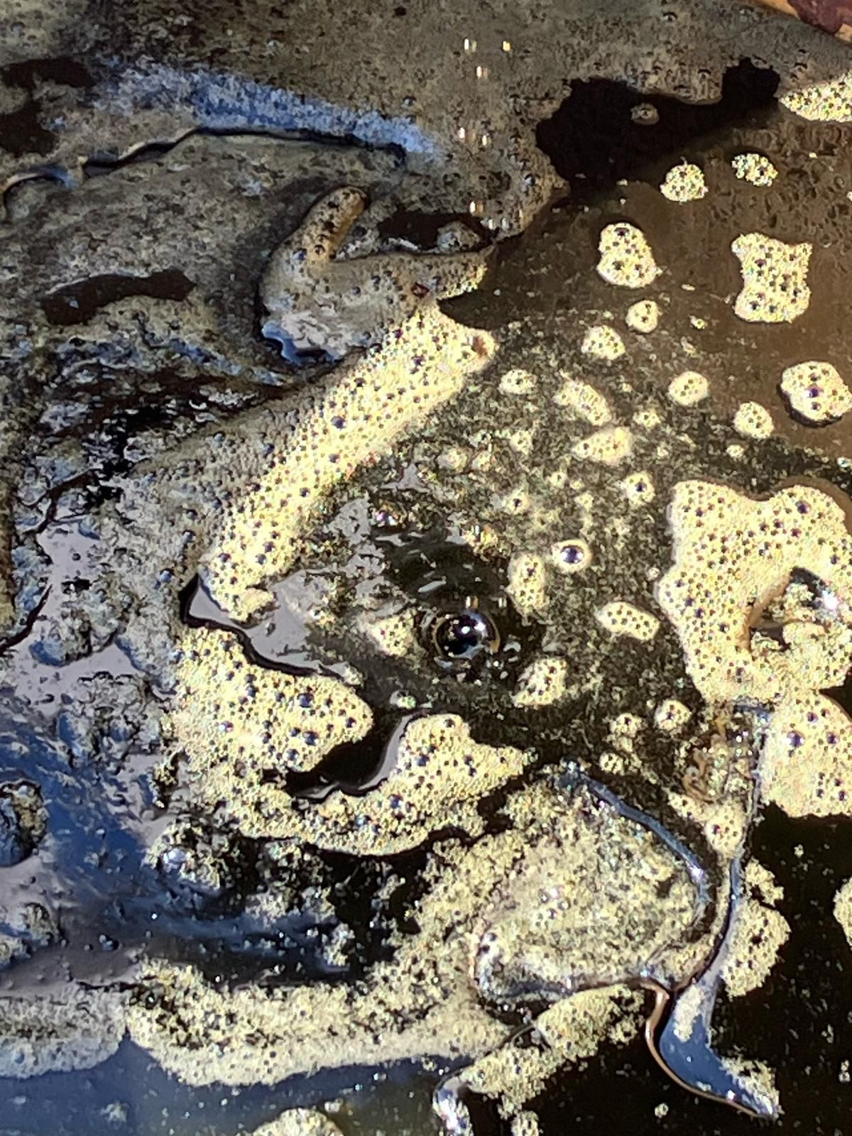 GRUB: Esther Castle, Niamh Finnigan, Sophie Hall & Carys Reynolds ...